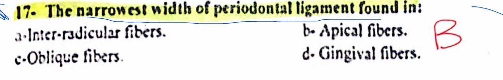 Solved The narrowest width of periodontal ligament found in: | Chegg.com
