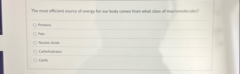 Solved The most efficient source of energy for our body | Chegg.com