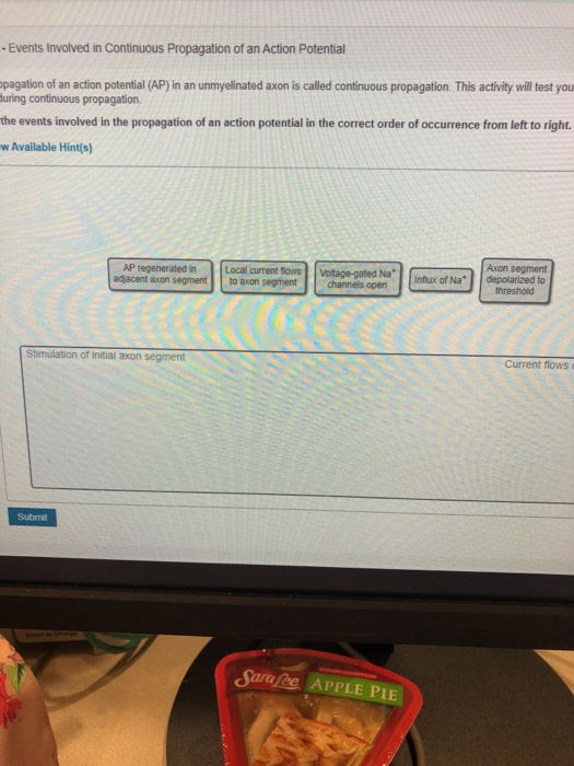 Solved - Events Involved in Continuous Propagation of an | Chegg.com