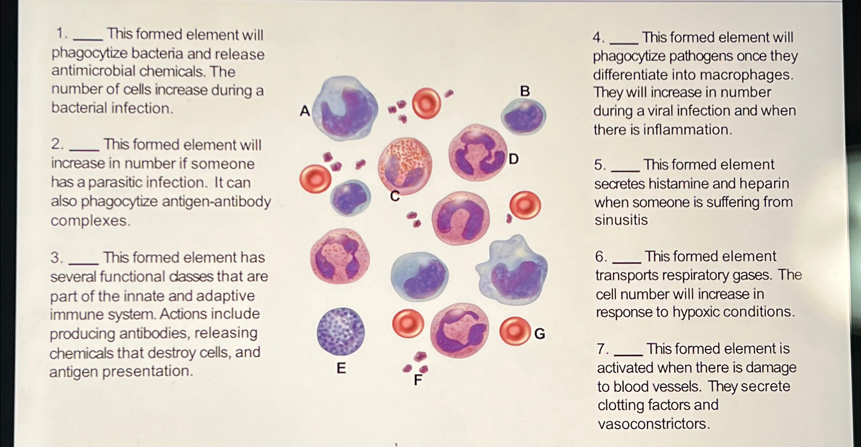 Solved This formed element will phagocytize bacteria and | Chegg.com