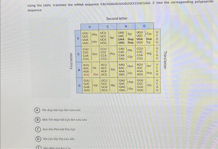 Solved Using the table, translate the mRNA sequence 5 | Chegg.com