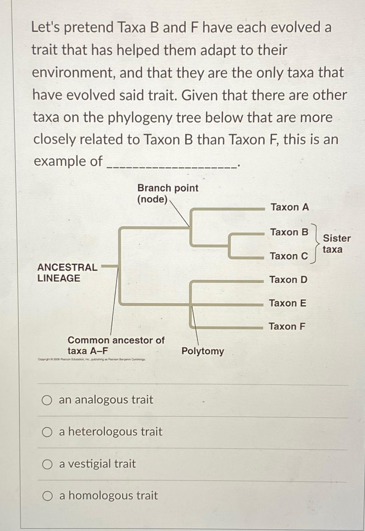 Solved Let's pretend Taxa B ﻿and F ﻿have each evolved a | Chegg.com