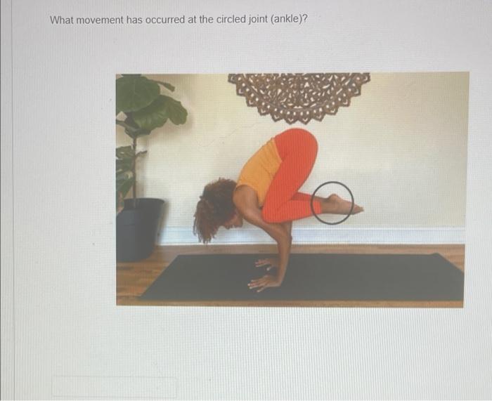 Solved What movement has occurred at the circled joint | Chegg.com