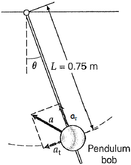 Solved A pendulum swinging in a circular arc under the | Chegg.com