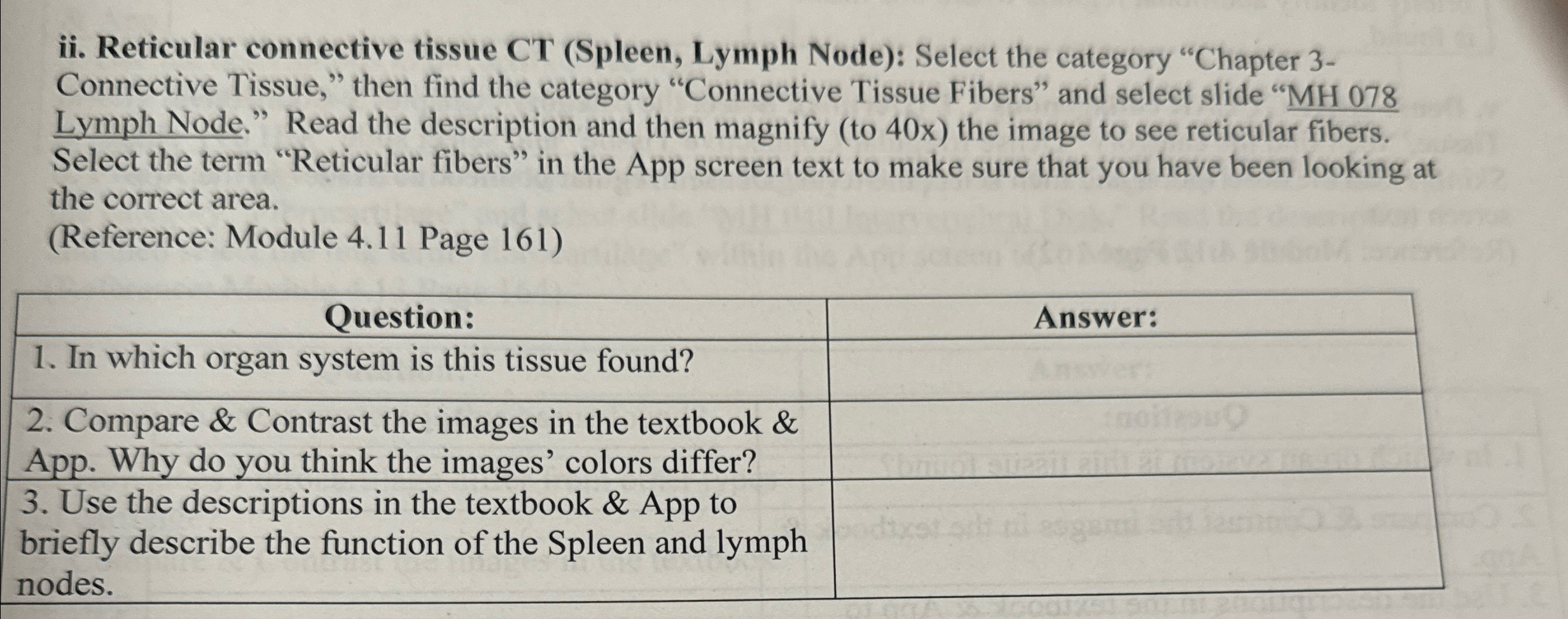 Solved ii. ﻿Reticular connective tissue CT (Spleen, ﻿Lymph | Chegg.com