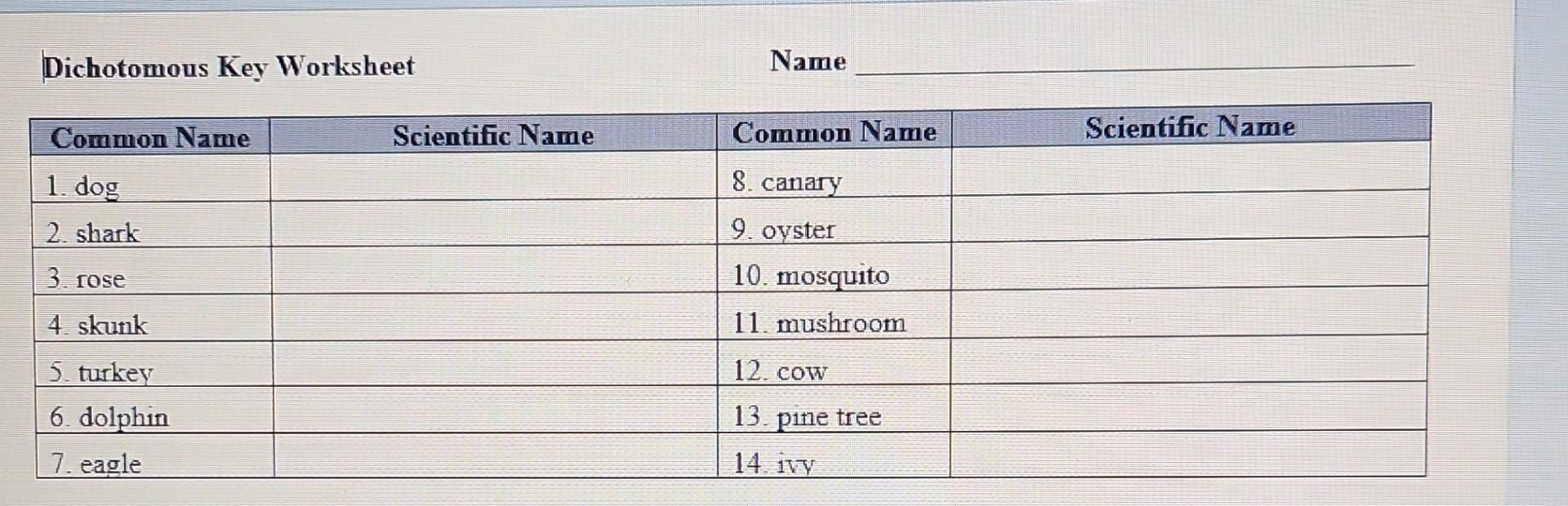 Solved A. Find and match the scientific names of the | Chegg.com