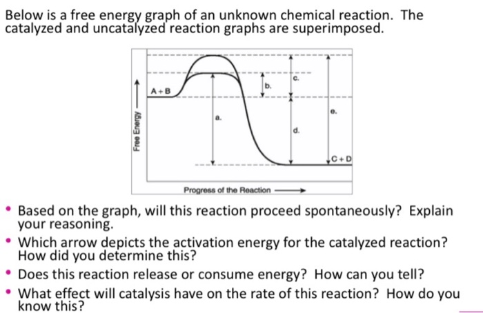 Solved Below is a free energy graph of an unknown chemical | Chegg.com
