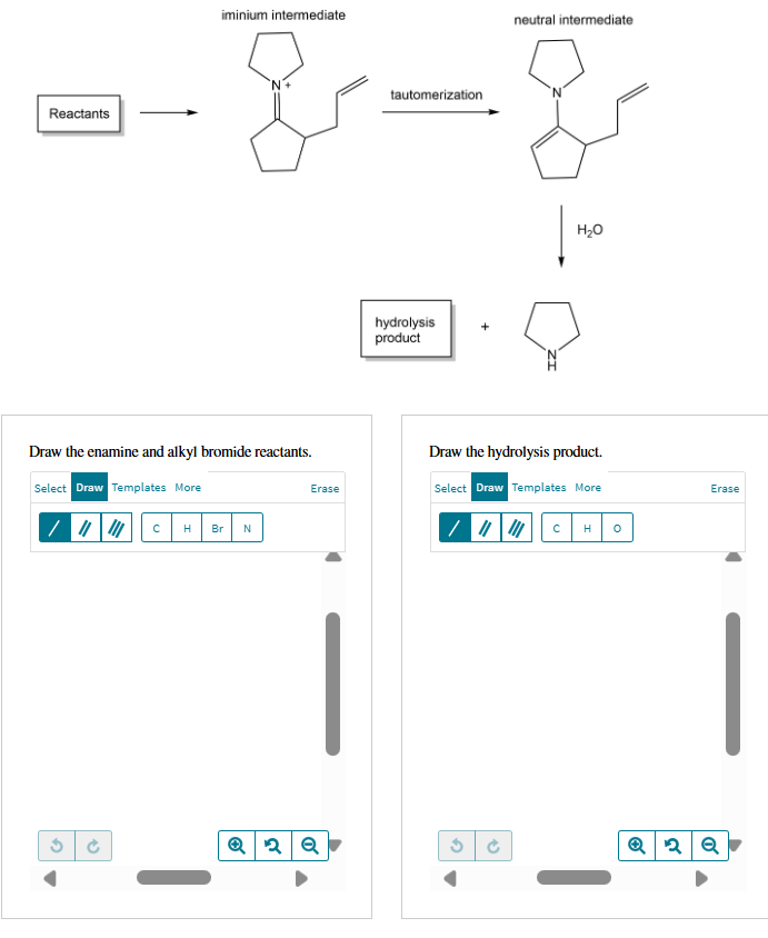 Solved Draw the enamine and alkyl bromide reactants. Draw | Chegg.com