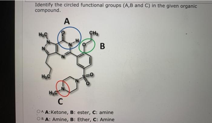 Solved Identify the circled functional groups (A,B and C) in | Chegg.com