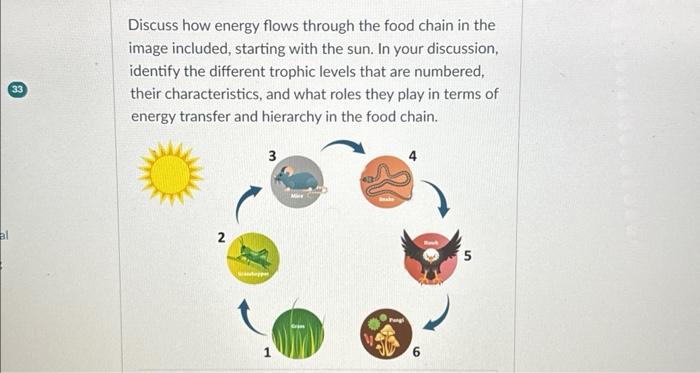Solved Discuss how energy flows through the food chain in | Chegg.com
