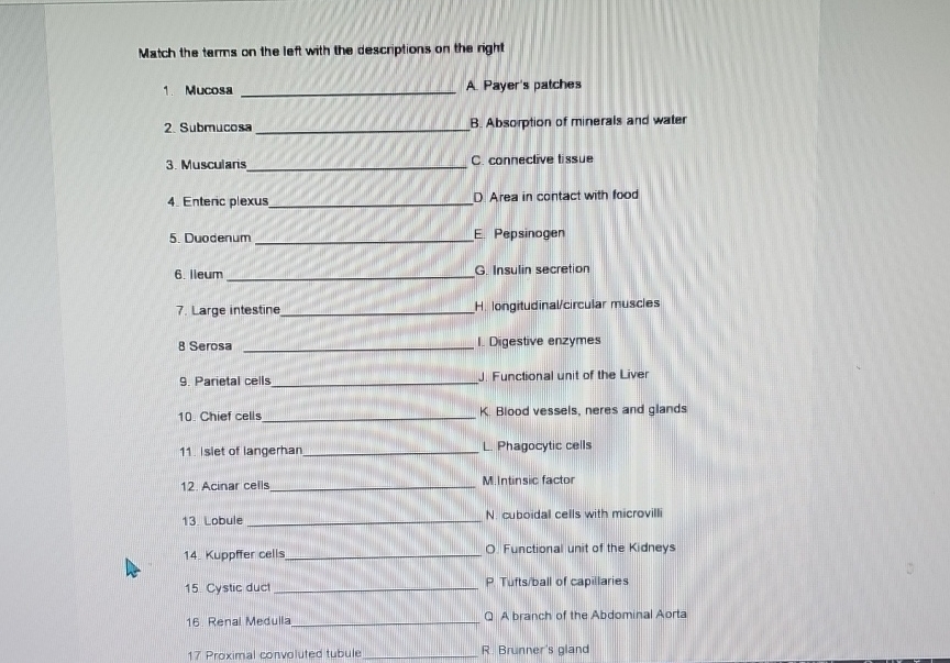 Solved Match the terms on the left with the descriptions on | Chegg.com