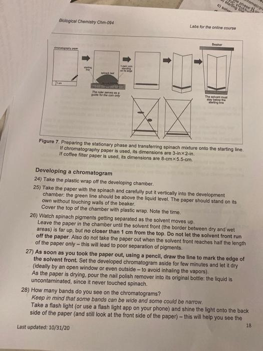cm Name of the pigment (or group of pigments) - use | Chegg.com