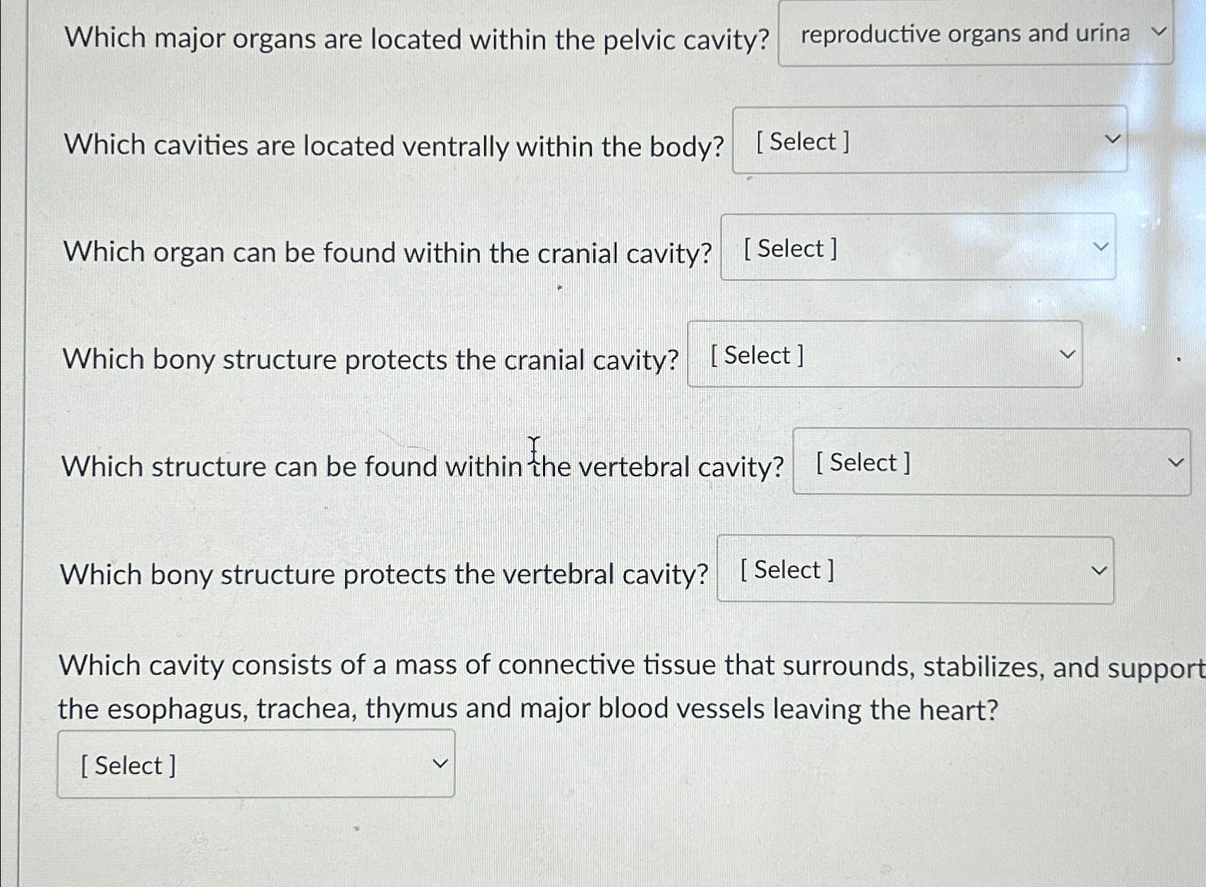 Solved Which major organs are located within the pelvic | Chegg.com
