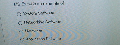 Solved MS Excel is an example ofSystem SoftwareNetworking | Chegg.com