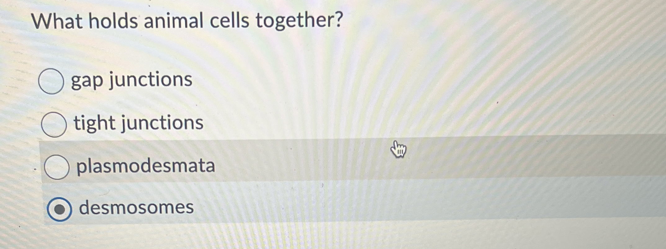 Solved What holds animal cells together?gap junctionstight | Chegg.com