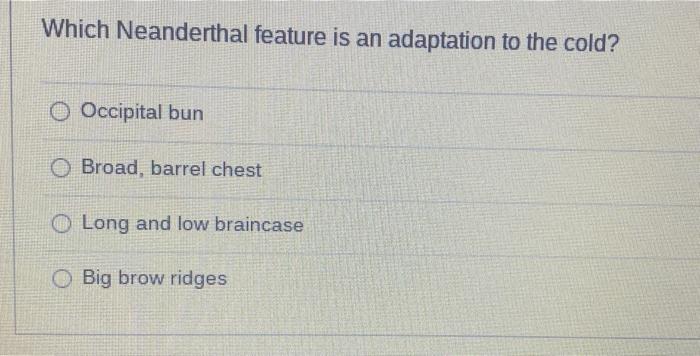 Solved Which Neanderthal feature is an adaptation to the | Chegg.com