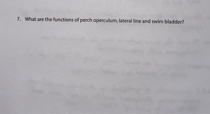 Solved 7. What are the functions of perch operculum, lateral | Chegg.com