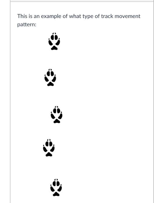 Solved This is an example of what type of track movement | Chegg.com
