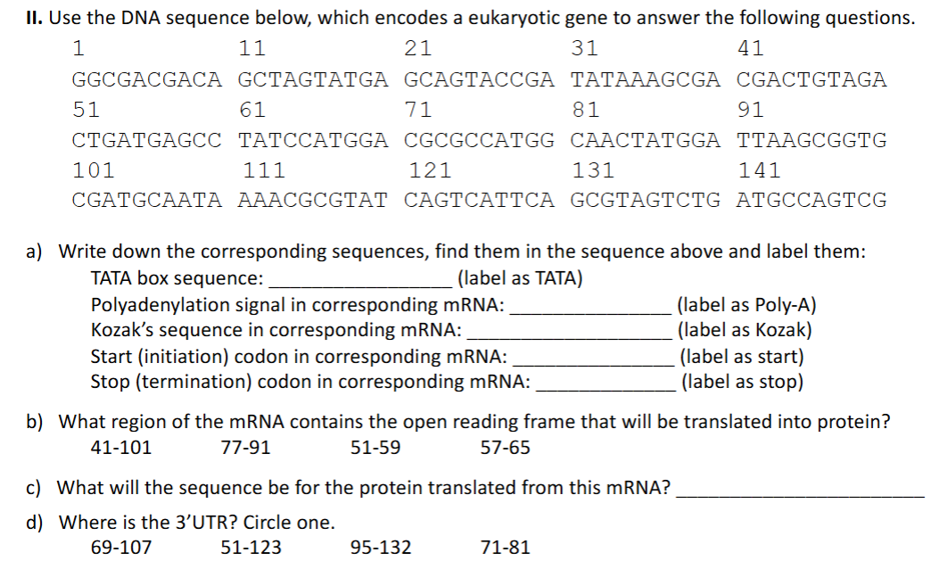 Solved II. ﻿Use the DNA sequence below, which encodes a | Chegg.com