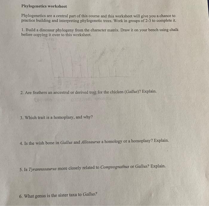 Solved Phylogenetics worksheet Phylogenetics are a central | Chegg.com