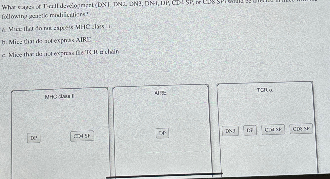 Solved What stages of T-cell development (DN1, ﻿DN2, ﻿DN3, | Chegg.com