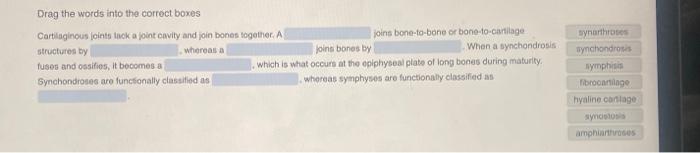 Solved Drag the words into the corroct boxes Drag the words | Chegg.com