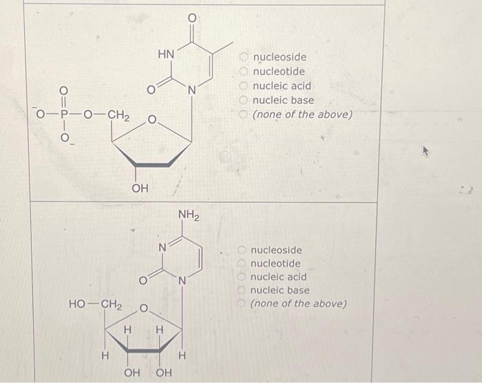 Solved Classify each molecule: nucleoside nucleotide | Chegg.com