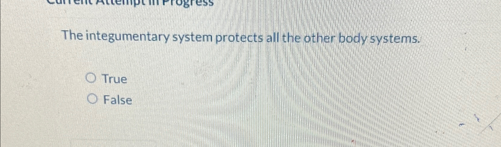 Solved The integumentary system protects all the other body | Chegg.com