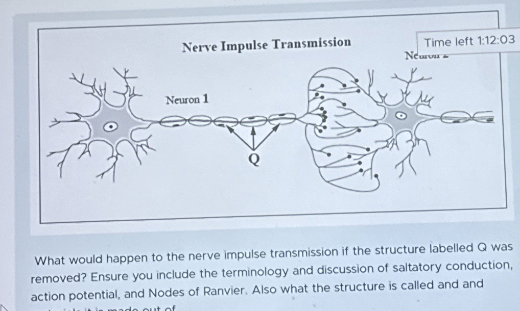 Solved What would happen to the nerve impulse transmission | Chegg.com