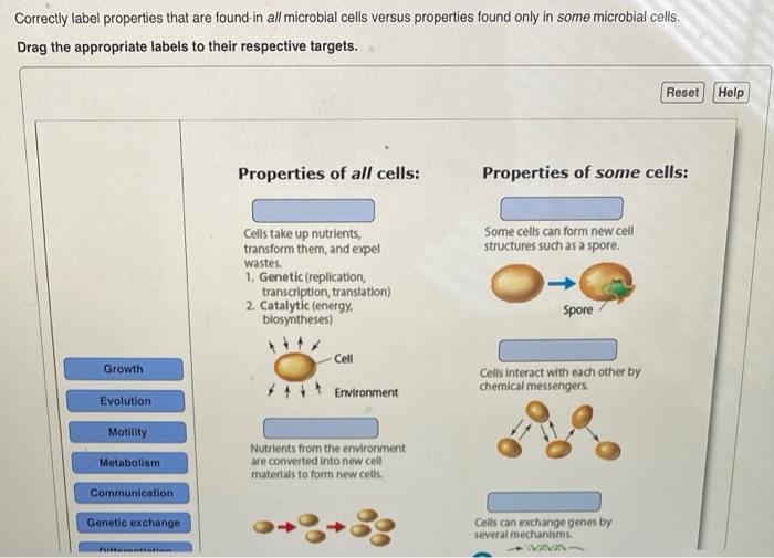 Solved Correctly label properties that are found in all | Chegg.com