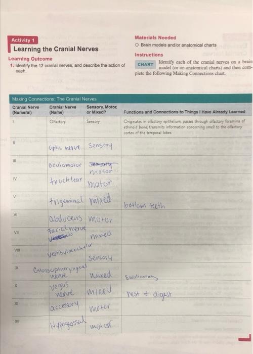 Solved Activity 1 Learning the Cranial Nerves Learning | Chegg.com