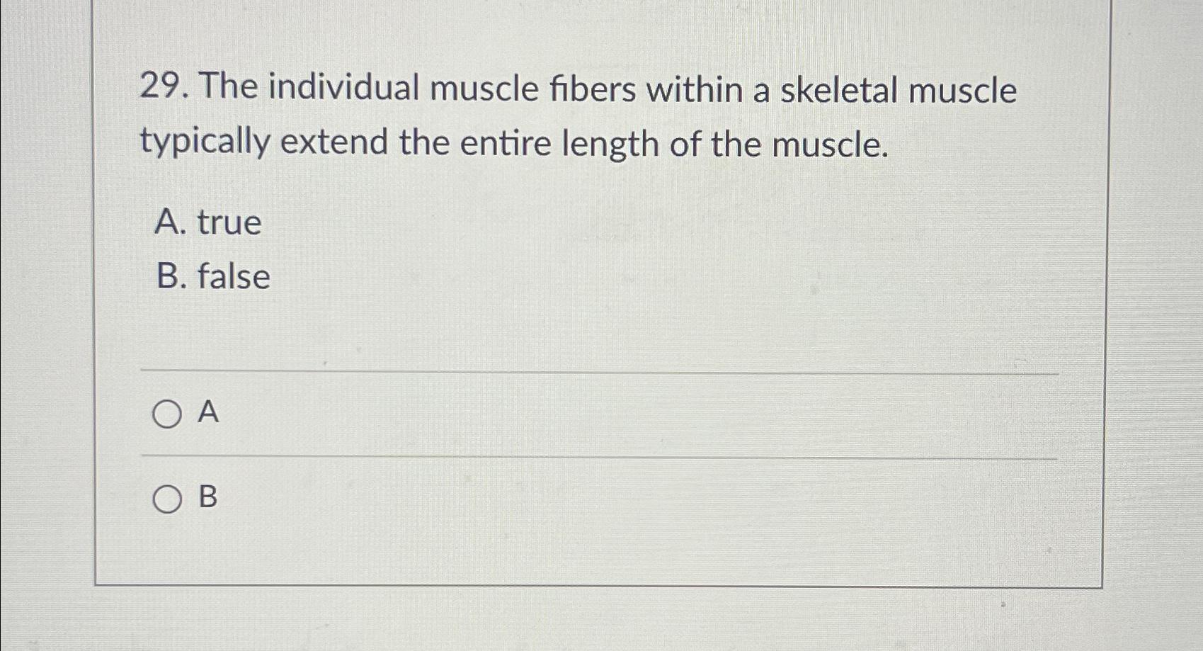 Solved The individual muscle fibers within a skeletal muscle | Chegg.com