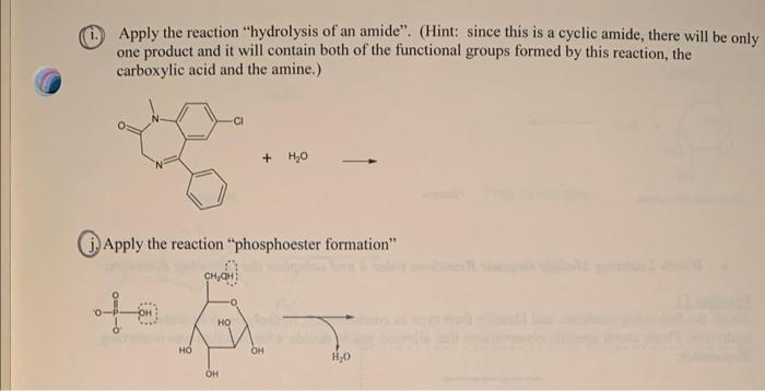 Solved (1.) Apply the reaction "hydrolysis of an amide". | Chegg.com