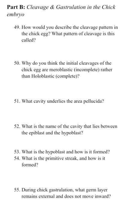 Solved Part B: Cleavage & Gastrulation in the Chick embryo | Chegg.com