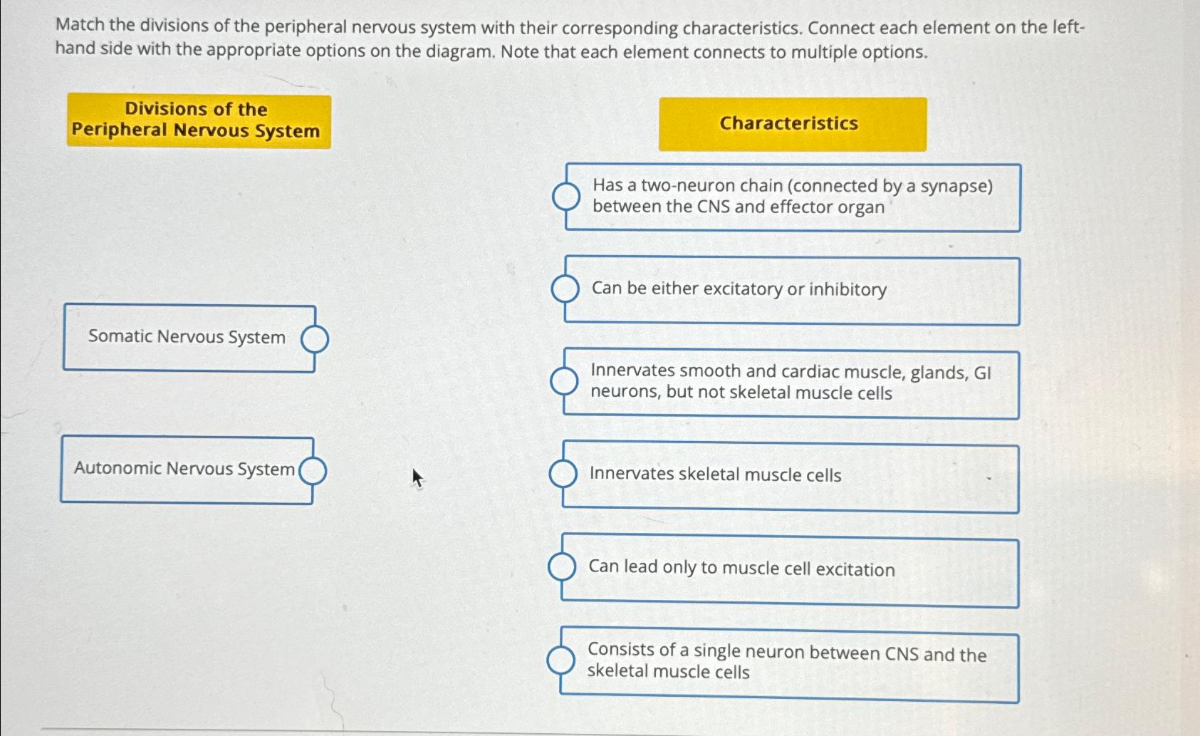 Solved Match the divisions of the peripheral nervous system | Chegg.com
