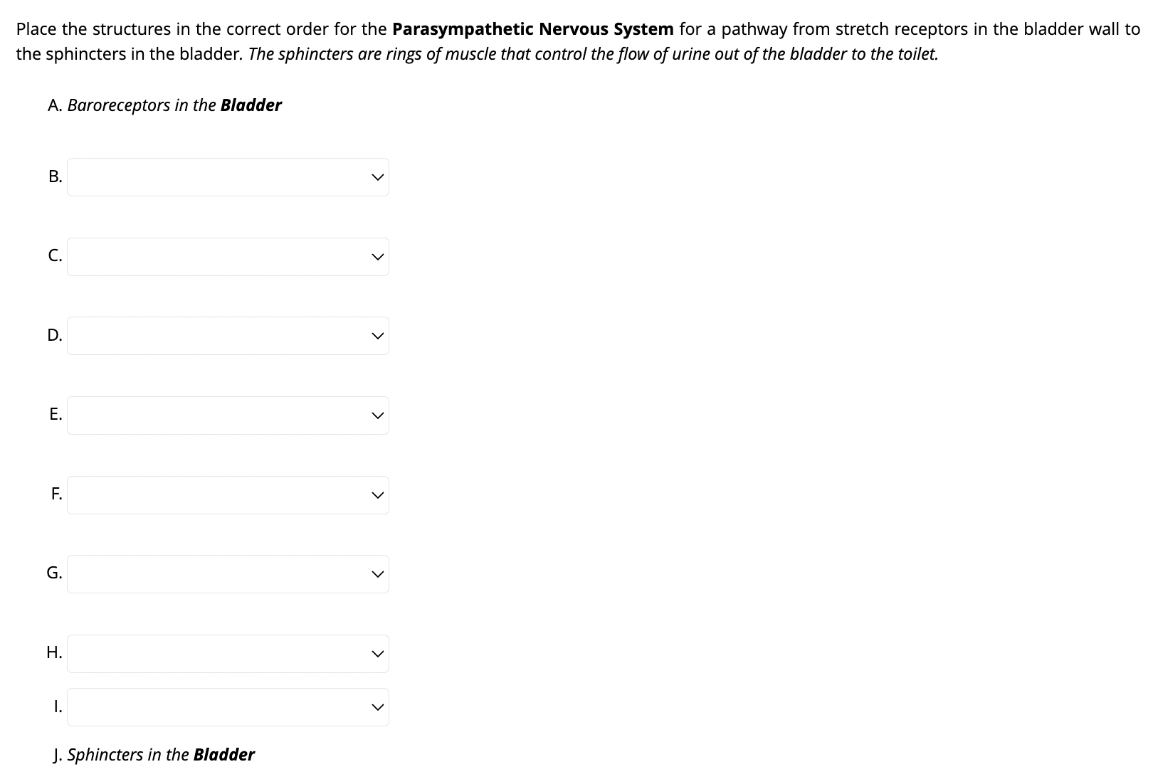 Solved Brain stemFirst order sensory | Chegg.com