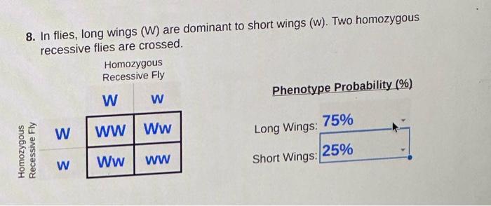 8. In flies, long wings (W) are dominant to short | Chegg.com