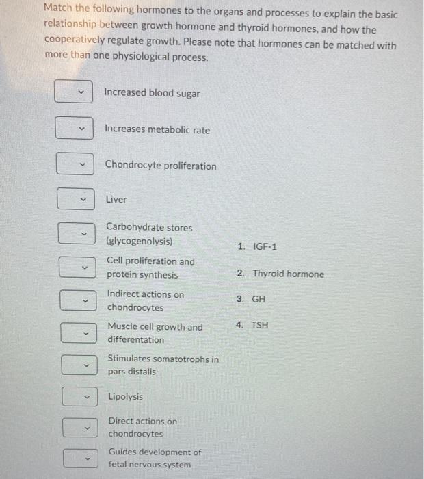 Question 1 (6 points) Match the following hormones to | Chegg.com
