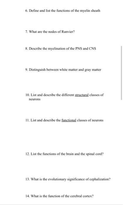 Solved 6. Define and list the functions of the myelin sheath | Chegg.com