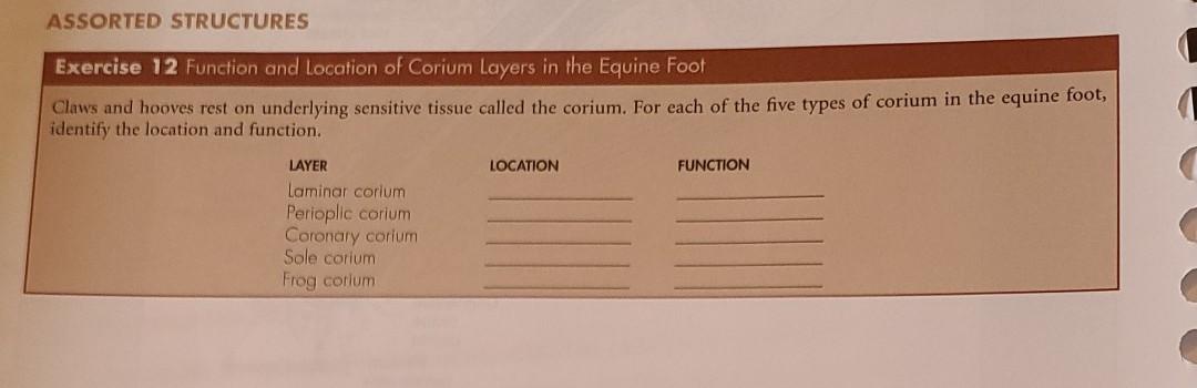 Solved ASSORTED STRUCTURES Exercise 12 Function and Location | Chegg.com