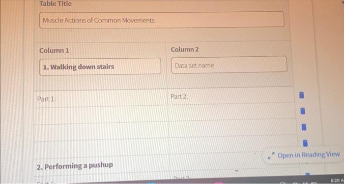 Table Title Muscle Actions of Common Movements Column | Chegg.com