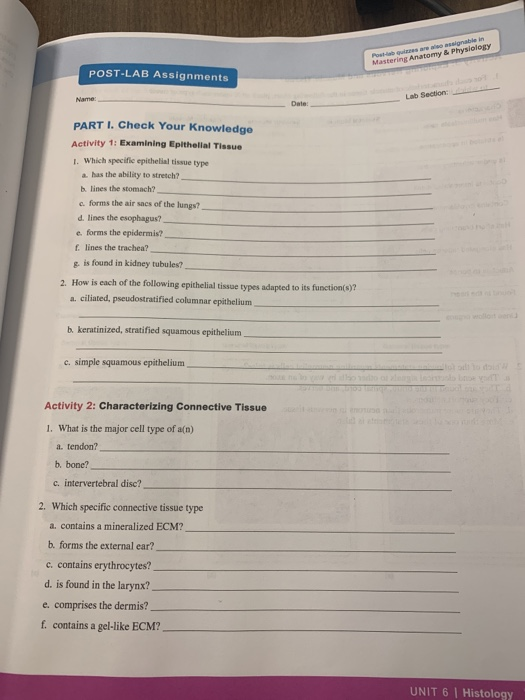 Solved Passignable Mastering Anatomy & Physiology POST-LAB | Chegg.com