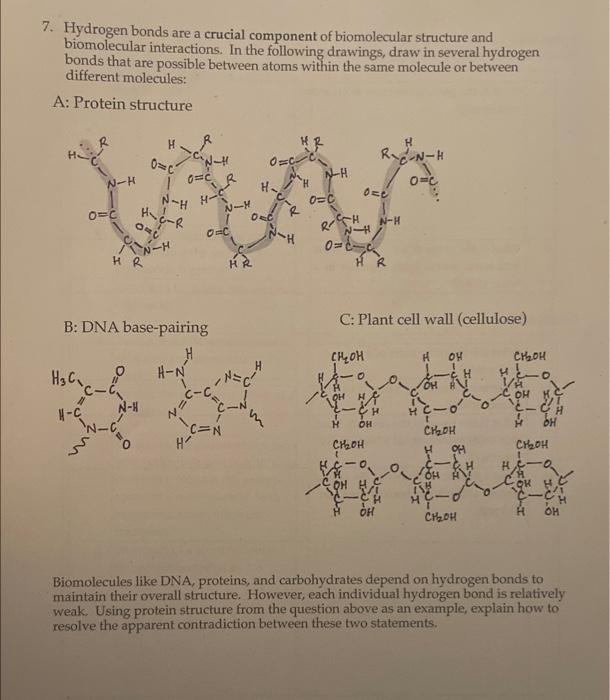 Solved 7. Hydrogen bonds are a crucial component of | Chegg.com