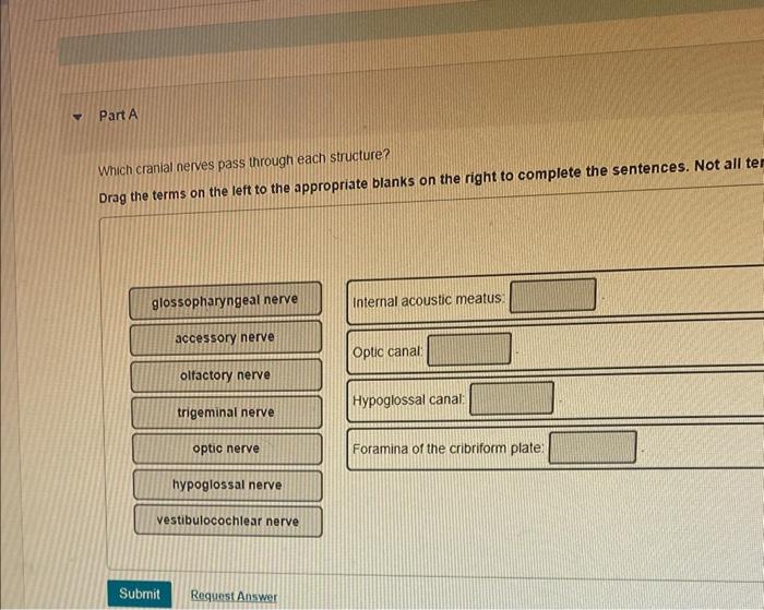 Solved Which cranial nerves pass through each structure? | Chegg.com