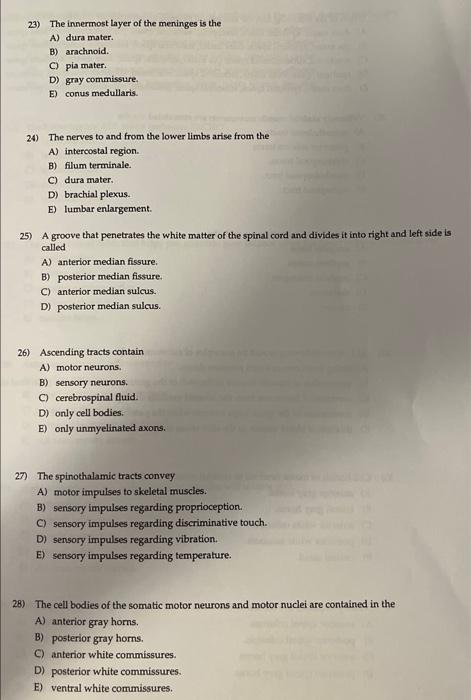 Solved 23) The innermost layer of the meninges is the A) | Chegg.com