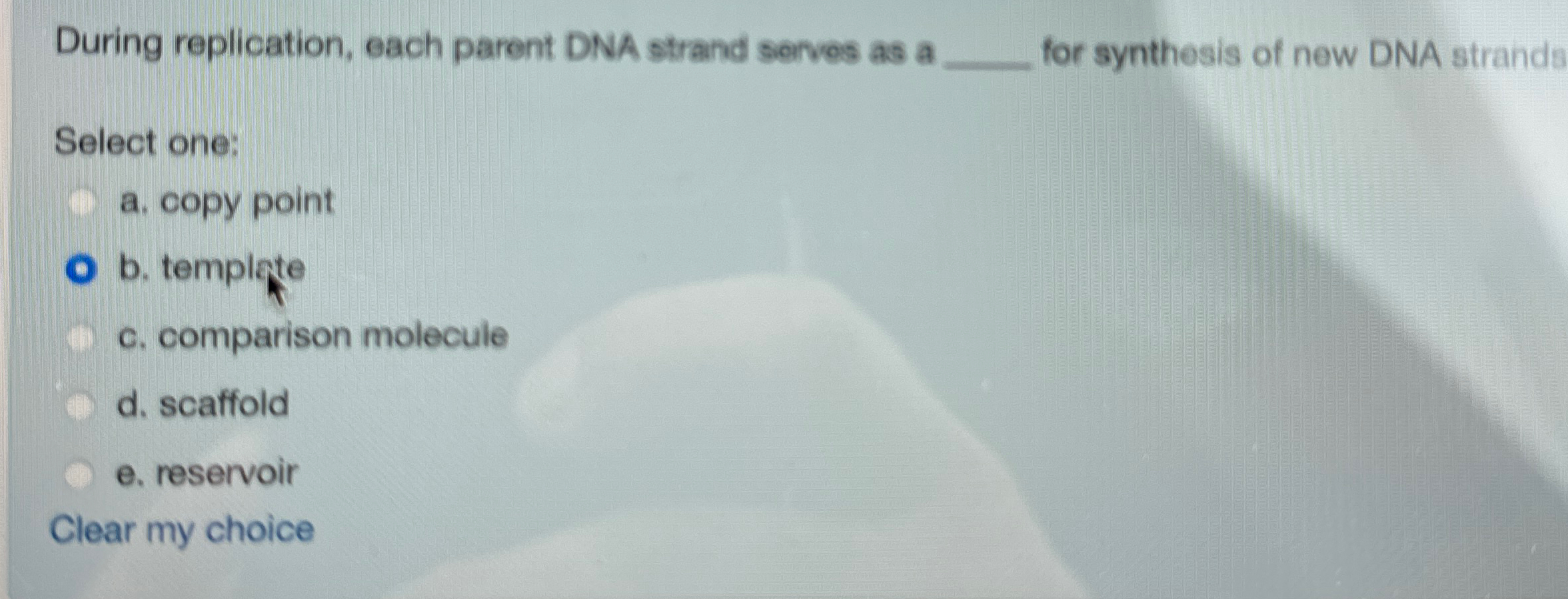 Solved During replication, each parent DNA strand serves as | Chegg.com