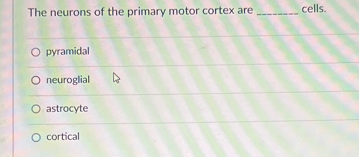 Solved The neurons of the primary motor cortex are | Chegg.com