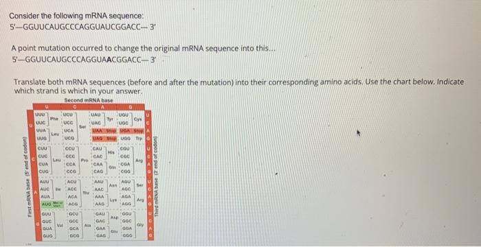 Solved Consider the following mRNA sequence: | Chegg.com