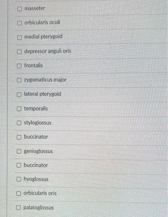 Solved These are muscles used in mastication (biting and | Chegg.com