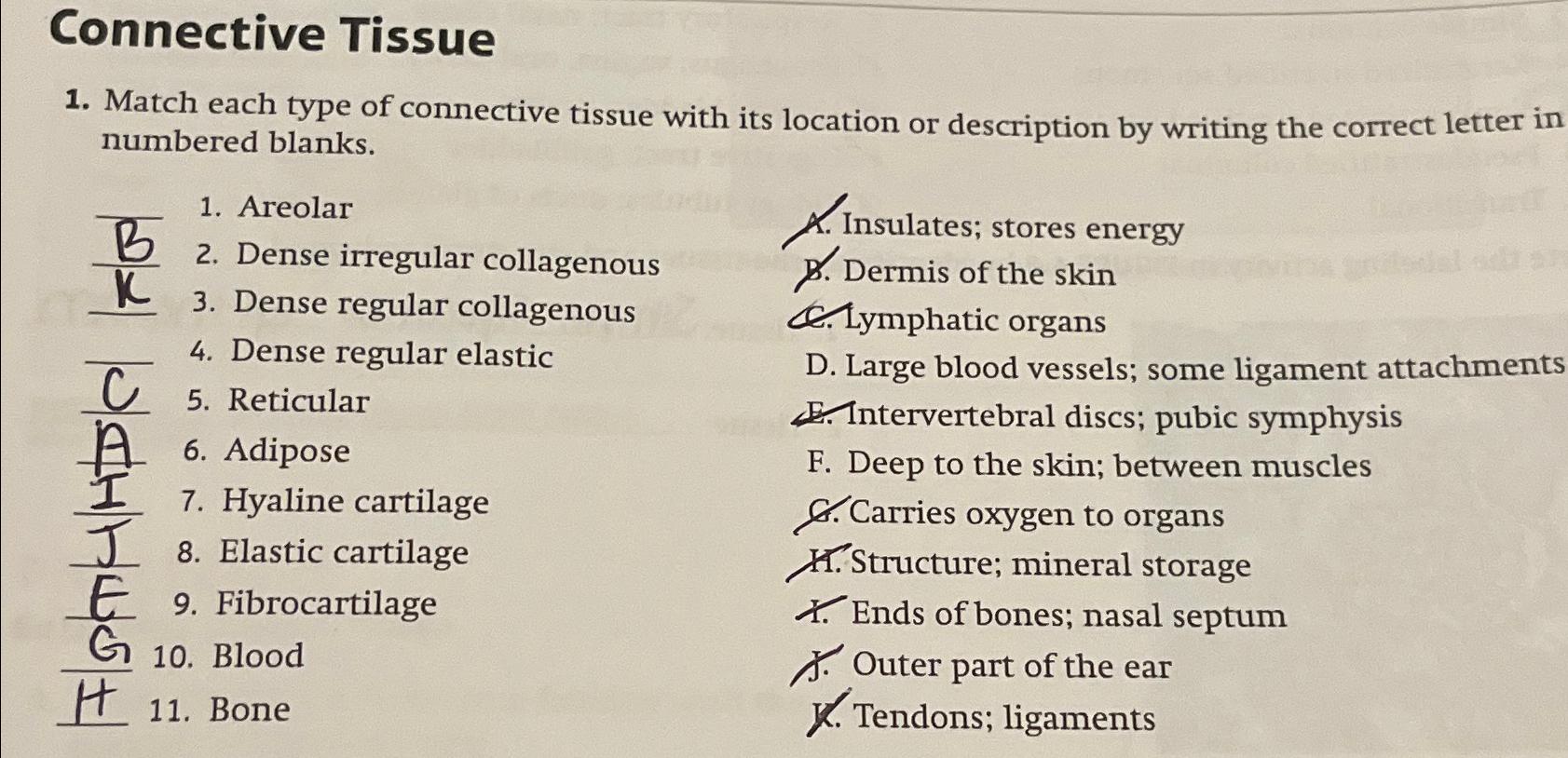 Solved Connective TissueMatch each type of connective tissue | Chegg.com
